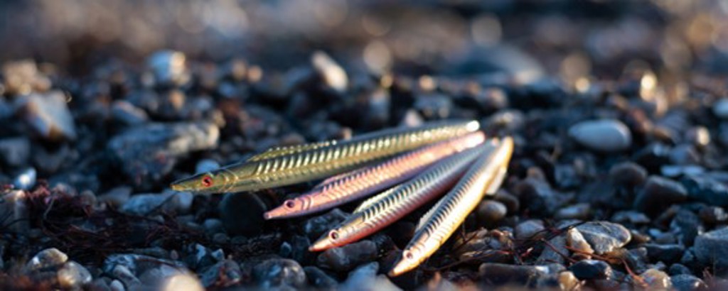 Privacy and Cookies Policy | Kinetic Fishing